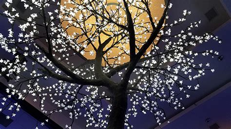 Twinkle Trees Portland Weddings