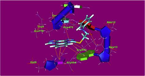 Binding Of Compound 25 B With Topo Ii The Hydrogen Bonds Are Download Scientific Diagram