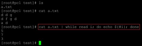 linux 中输出变量字符串的长度 小鲨鱼 博客园