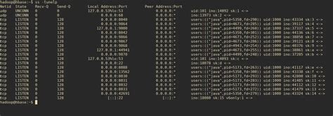 Install Apache Hadoop Hbase On Ubuntu 2004 Computingforgeeks