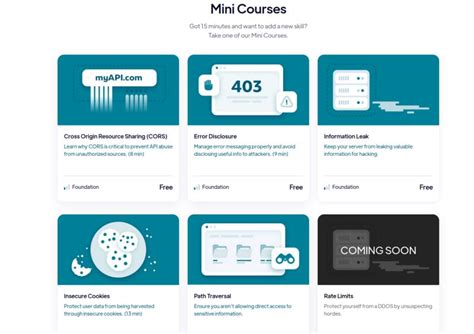 100daysofhacking Apisecurity Websecurity Pentesting Webdevelopment