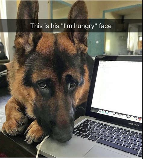 These Memes Will Jump Start Your Life Funny Gallery Ebaum S World