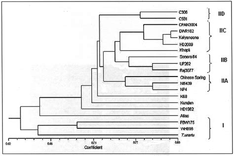 dendrogram illustrating genetic relationships among 20 wheat genotypes