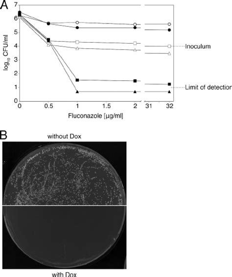 Doxycycline Converts Fluconazole From Fungistatic To Fungicidal And Download Scientific Diagram