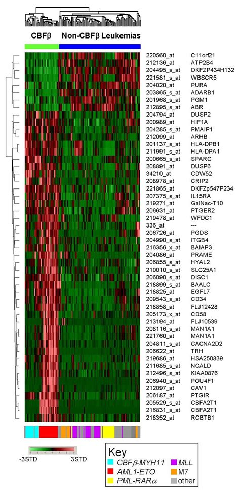 Expression Signature Of Core Binding Factor Amls Two Dimensional
