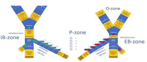 Mass Ventilation System MVS Architecture 7 Download Scientific Diagram