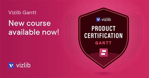 introducing the new vizlib gantt course r vizlib