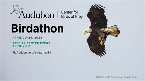 Participate In Audubon Floridas Birdathon At The Center For Birds Of