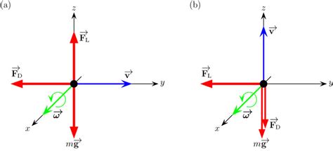 in a the initial projectile velocity vec {{ bf{ v}}} v→ is in
