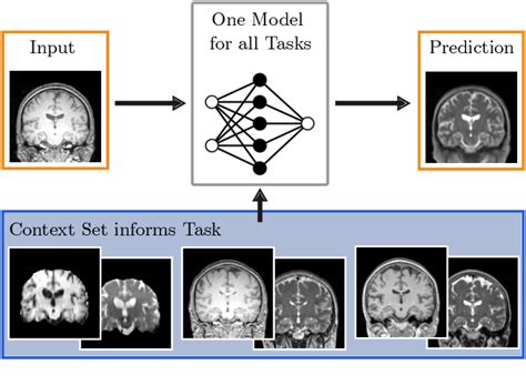 Neuralizer General Neuroimage Analysis Without Re Training Paper And