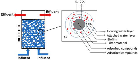 Recent Advances In Biofiltration For Ppcp Removal From Water
