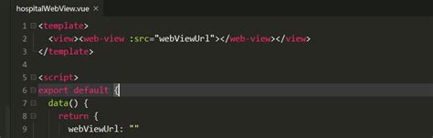 【uniapp】中web view引入页面返回问题 rocyuan