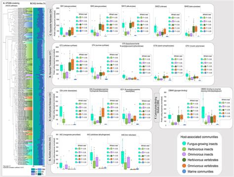 Functional Profile Estimated Via KEGG Pathways And CAZy Families A