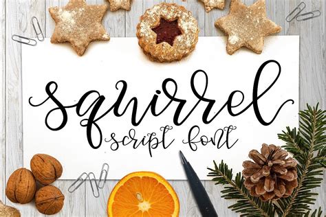 squirrel script font 46998 script font bundles