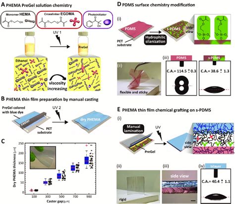 Chemistry And Assembly Of Hydrogel Elastomer Hybrid System A Pregel