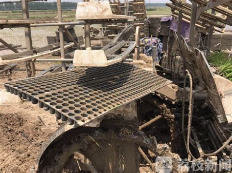 成活率100 每亩提升近200元 钵苗机插技术 成熟”了