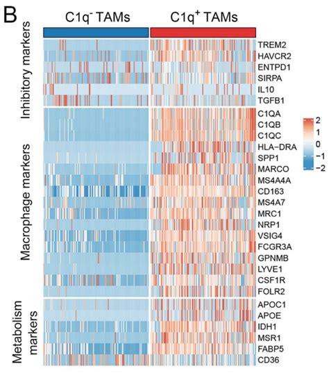 文献解析｜巨噬细胞遇上代谢重编程 知乎