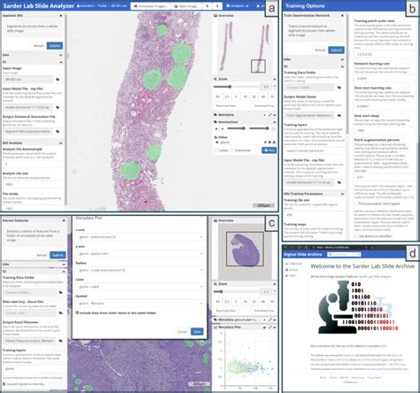 A User Friendly Tool For Cloud Based Whole Slide Image Segmentation With Examples From Renal
