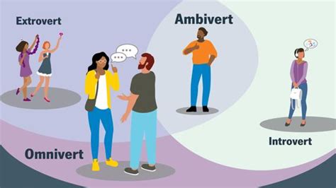 What Is An Introvert Traits And Insights