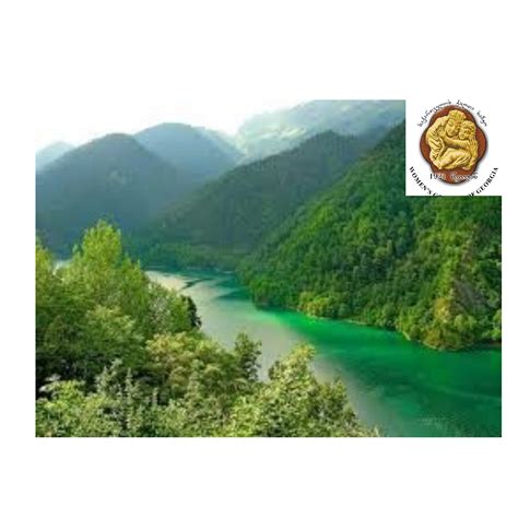 საგარეჯოს აზერბაიჯანული სოფლების ქალთა საბჭო