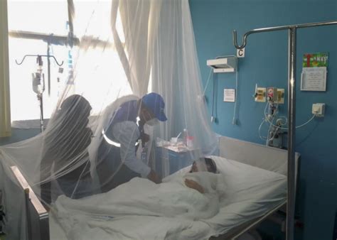 Ministerio De Salud Reporta 69534 Casos De Dengue A Nivel Nacional