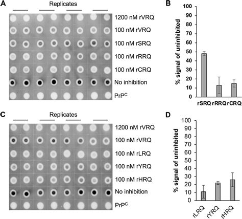 Inhibition Of Scrapie Prion Replication With 136 Variants Of Rprp Pmca Download Scientific