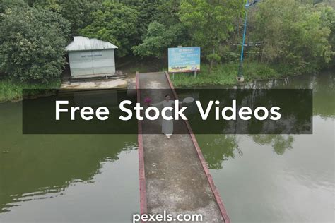 Russianvirgingirldefloration Videos Download The Best Free 4k Stock