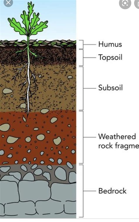 Soil Layers Diagram