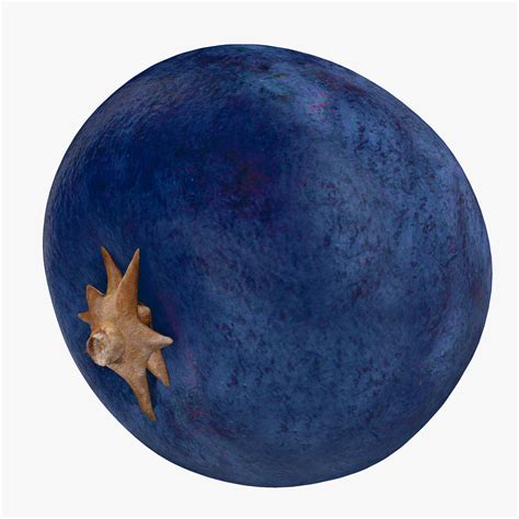 Juniper Berry 3d Model 17 Max Obj 3ds Ma C4d Free3d