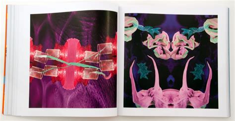 Space Alien Sex Art Excerpt From Strange Attractors Boing Boing