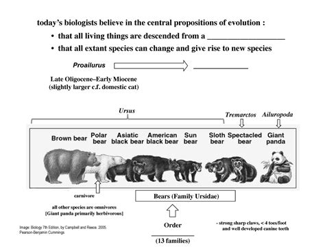 Module 4 Part 2 That All Living Things Are Descended From A