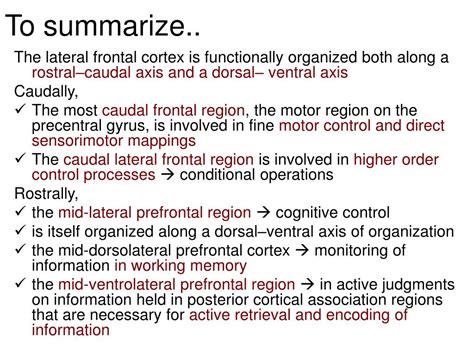 Ppt Lateral Prefrontal Cortex Architectonic And Functional