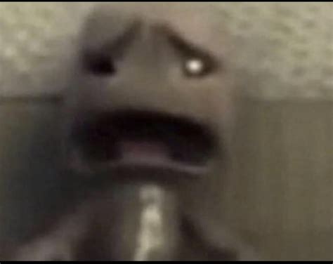 I See Your Rule34 Meme I Raise You A E621 Meme R Memevideos