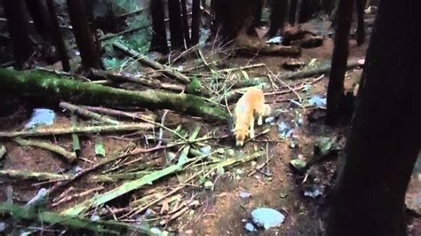 Oh My Cuddle Youtube