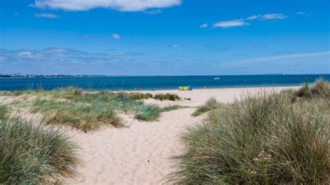 Things To Do At Studland Bay Dorset National Trust