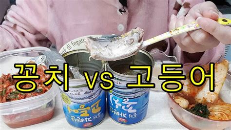 꽁치캔 고등어캔 생으로 비교 먹방 Youtube