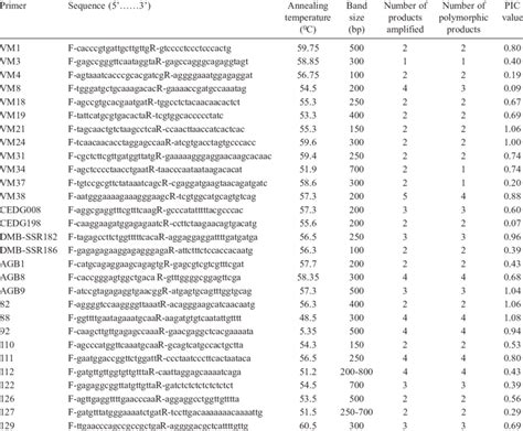 Description Of 29 SSR Primers Used In Present Study Their Sequence Download Table