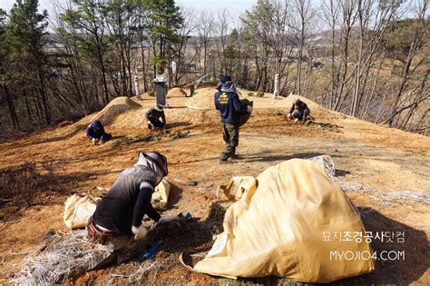 경기도 파주시 도내리 함양박씨 종중묘역에 사초 잔디작업 두번째 날입니다 용미리제1묘지 용미리제2묘지 벽제리묘지 묘지이장 파묘 묘지개장 묘지화장 파주시묘지이장