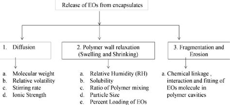 Flow Diagram Representing Release Of EOs From Encapsulates Mechanism Download Scientific