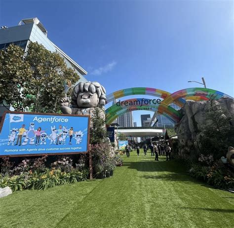 Df24 Salesforce Partners