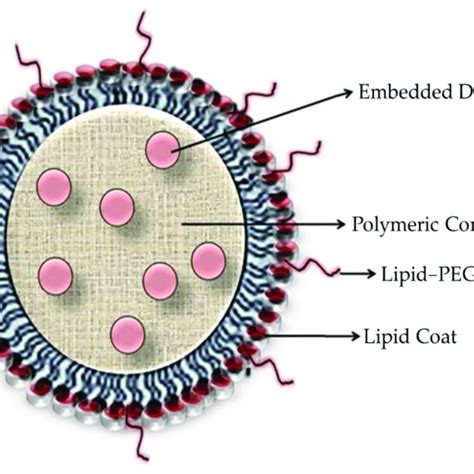 Diagrammatic Representation Of Drug Loaded Polymeric Lipid Hybrid Download Scientific Diagram