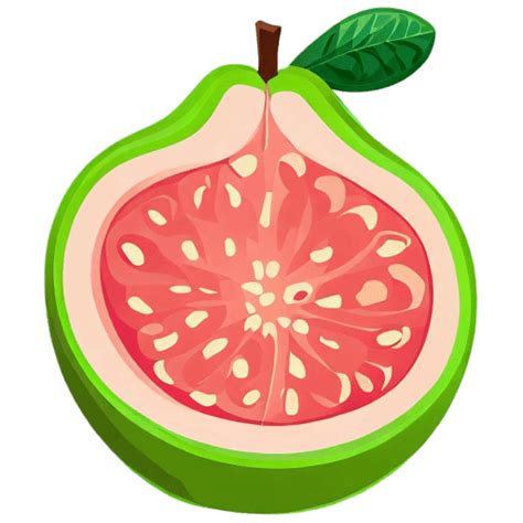 guava open icon illustration fruit iconpack icon archive