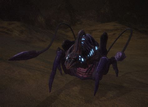 Guerriero Rachni Mass Effect Italia Wiki Fandom
