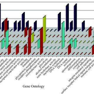 Gene Ontology Enrichments Of The Five Major Expression Trends Download Scientific Diagram