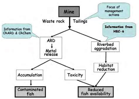 Schematic Of A Fish Bayesian Decision Network Model Developed For Ok Download Scientific