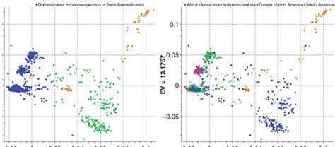 Principal Component Analysis Pca Showing The Ordination Of The World