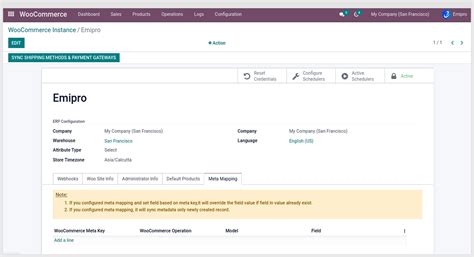 Meta Data Mapping Configuration Odoo Woocommerce Connector By Emipro