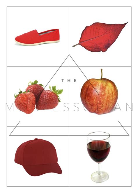 Primary Colour Sorting Cards PDF The Montessorian