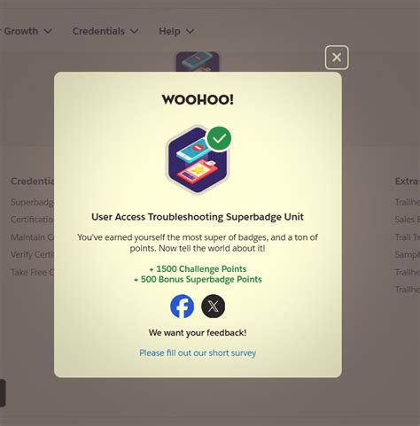 Sanjay T On Linkedin Newyear Salesforce Trailhead Superbadge Learninganddevelopment