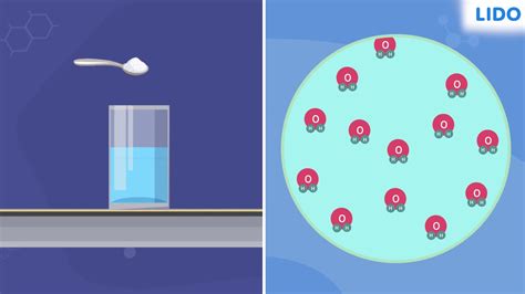 What Is Universal Solvent Water At Marcelo Mulkey Blog